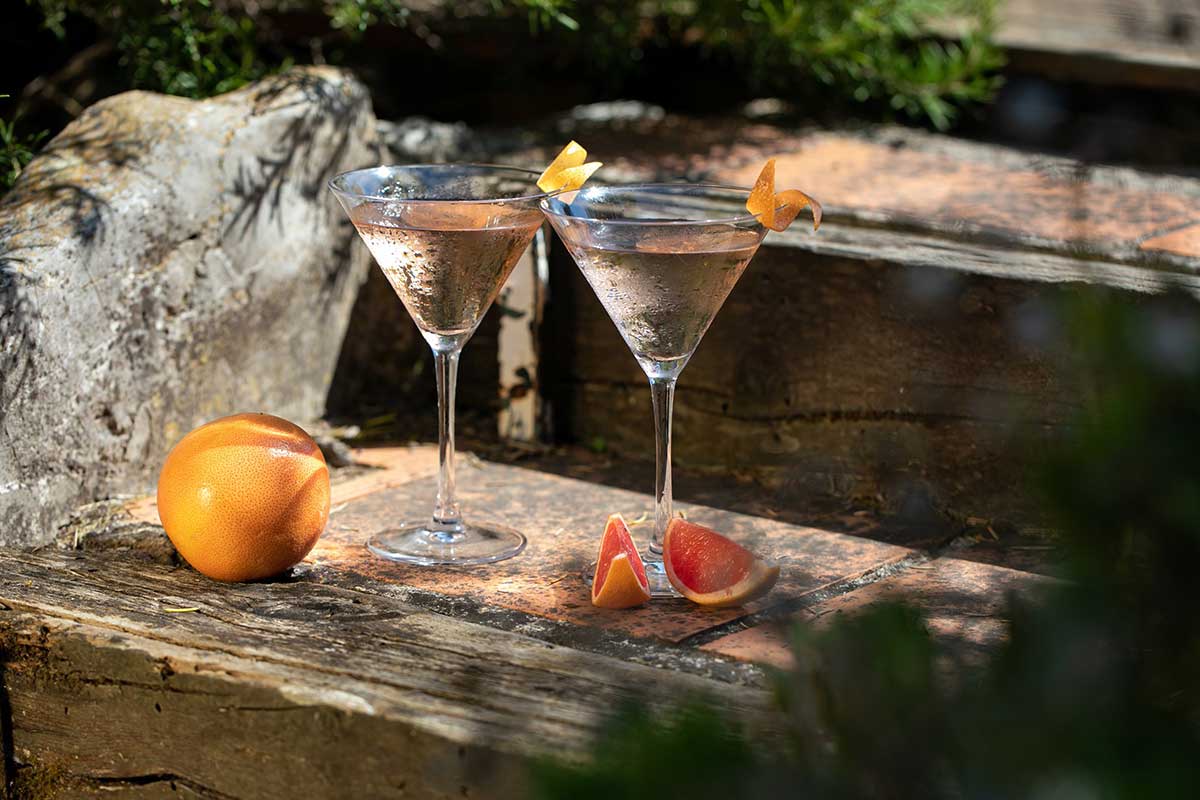 Ouverture du blog Mistral Gin
